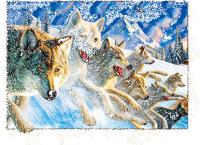 China PET Plastic Material 5D Lenticular Image Frosted / Matte Finish for sale