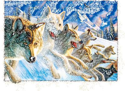 China PET Plastic Material 5D Lenticular Image Frosted / Matte Finish for sale
