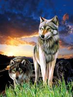 China 0.6mm PET+157g Coated Paper 3D Lenticular Pictures / 3D Lenticular Wall Art for sale