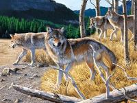 China 0.6mm PET+157g Coated Paper 3D Lenticular Pictures / 3D Lenticular Wall Art for sale