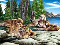 China 0.6mm PET+157g Coated Paper 3D Lenticular Pictures / 3D Lenticular Wall Art for sale