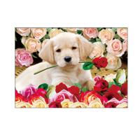 China Lovely Cats And Dogs 3D Lenticular Pictures Printing Customized Size for sale