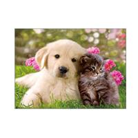 China Lovely Cats And Dogs 3D Lenticular Pictures Printing Customized Size for sale