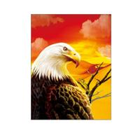 China 30x40cm Size 3D Pictures Of Animals 0.6mm PET Material Durable for sale