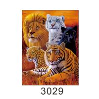 China 30x40cm Size 3D Pictures Of Animals 0.6mm PET Material Durable for sale