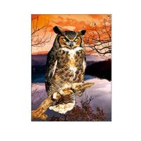 China 30x40cm Size 3D Pictures Of Animals 0.6mm PET Material Durable for sale