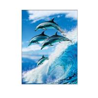 China Living Room Decoration 3D Lenticular Photography Sealife Dolphin Images With Deep Effect for sale