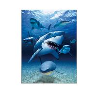 China Living Room Decoration 3D Lenticular Photography Sealife Dolphin Images With Deep Effect for sale