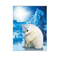 China Living Room Decoration 3D Lenticular Photography Sealife Dolphin Images With Deep Effect for sale
