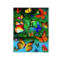 China Eco - Friendly 3D Lenticular Photo For Store With PS / MDF Frame for sale