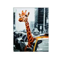 China Eco - Friendly 3D Lenticular Photo For Store With PS / MDF Frame for sale
