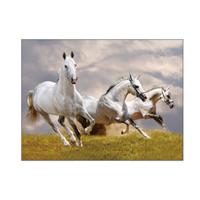 China Running Black Horses Image 3D Lenticular Pictures For Advertisement for sale