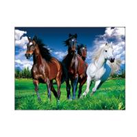 China Running Black Horses Image 3D Lenticular Pictures For Advertisement for sale