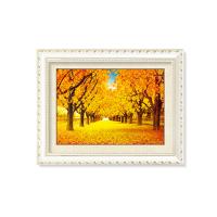 China PS / MDF Frame Nature Scenery 5D Pictures / Lenticular Poster Printing for sale