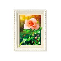 China Flowers And Plants 5D Images Lenticular Art Prints For Restaurant Decor for sale