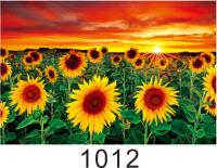China Environmentally Friendly 3d Lenticular Photo / Custom Lenticular Printing for sale