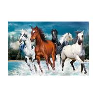 China 40*60cm 3D Image Poster Large Size Animal Horse Pictures Wall Prints for sale