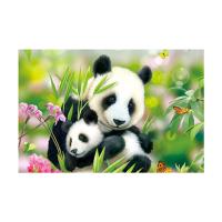 China 0.75mm Thickness Plastic Animal 3D Lenticular Pictures For House Decoration for sale