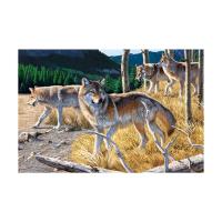 China 0.75mm Thickness Plastic Animal 3D Lenticular Pictures For House Decoration for sale