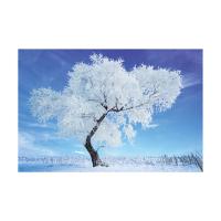 China 0.6mm PET 40*60cm 3D Lenticular Poster / 3D Depth Effect Lenticular Landscape Poster for sale