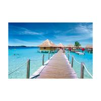 China 0.6mm PET 40*60cm 3D Lenticular Poster / 3D Depth Effect Lenticular Landscape Poster for sale