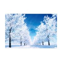 China 0.6mm PET 40*60cm 3D Lenticular Poster / 3D Depth Effect Lenticular Landscape Poster for sale
