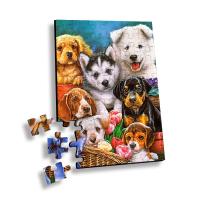 China 100 Piece Plastic 3D Lenticular Printing Puzzle For Souvenir for sale