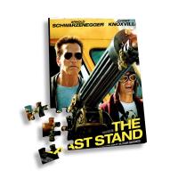 China Custom 0.6mm PET Lenticular Printing 3d Jigsaw Puzzle Flip for sale