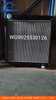 China Commercial Truck Spare Parts Radiator Assy Water Tank Assembly  Howo for sale