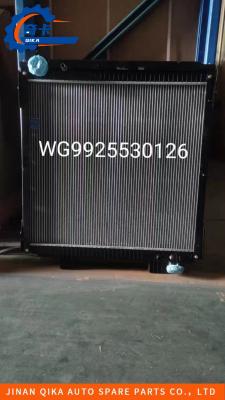 China Commercial Truck Spare Parts Radiator Assy Water Tank Assembly  Howo for sale