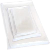 China Food Precut Plastic Vacuum Storage Bags OEM Large Size 7cm*10cm 30cm*40cm for sale