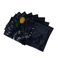 China Clear Black BPA Free Heat Seal Zip Pouch Food Plastic Polypropylene Bag for sale