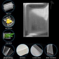 China Poly Heat Clear Vacuum Seal Pouch Food Packaging Nylon Bags for sale