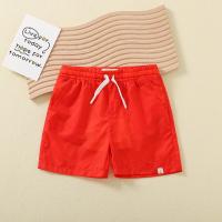 China Baby Cotton Summer Shorts Boys Beach Pants Casual 100% Cotton Custom Size for sale