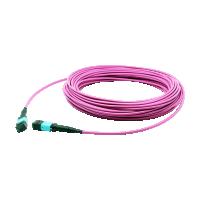 China 12F MTP-MTP Pre Terminated Fiber Trunk Cable Low Insertion Loss And High Return Loss for sale
