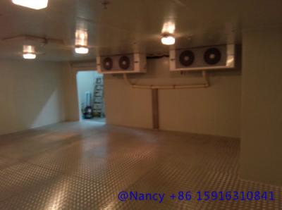 China dessert fresh storage,with 0-5℃，keep fruit and vegetables fresh for sale