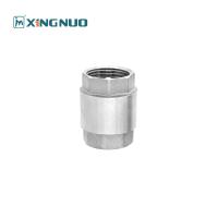 China BSP Stainless Steel Check Valve Unidirectional Flow Direction Valve For Industrial Fluid Control Systems And Pipeline Protection for sale