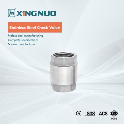 China BSP Stainless Steel Check Valve Unidirectional Flow Direction Valve For Industrial Fluid Control Systems And Pipeline Protection for sale