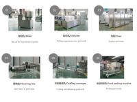 China Stainless Steel TSE Pet Food Extruder Machine 380V 50Hz 3 Phase Automatic for sale