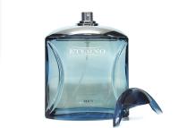 China ODM Blue 793 Sexy Man Perfume Woody Spicy Cologne 100ml Eau de Cologne for sale