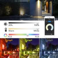 China App Controlle RGBTW 100W Waterproof Led Flood Light Compatible for sale