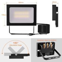 China Dimming Colour Changing LED Flood Light With Remote , 35w LED Flood Light 120V for sale