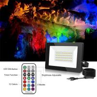 China SMD Waterproof Outdoor Flood Lights , IP66 100W Outdoor Rgb Flood Lights for sale
