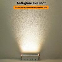China 10w Indoor Linear Cob Light  , AC12V 3000K Recessed Double Spotlight for sale