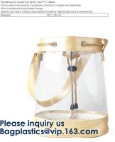 China Transparent PVC Drawstring Bag With Colorful Rope,Clear PVC drawstring bag with gold string,Pvc Strips Printing Gift Pac for sale