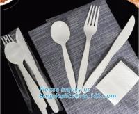 China Biodegradable disposable cutlery eco friendly plastic CPLA cutlery,Disposable Biodegradable Corn Starch Cutlery/Spoon for sale