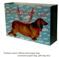China white kraft paper shopping bags with paper string handles, Luxury custom printed gift packaging kraft paper shopping bag for sale