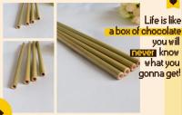 China Eco Friendly Factory Directly Sales Customized Logo Bamboo Straw With Brush 100 % Natural Bamboo Straw bagease bagpac for sale