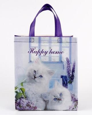 China Custom Promotional shopping tote fabric polypropylene laminated pp non woven bag, Wholesale high promotion laminated rec for sale