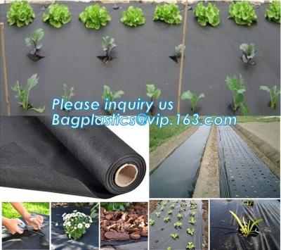 China best quality agricultural weed barrie,UV stable Polypropylene woven fabric weed barrier,maintenance free anti weed mat, for sale